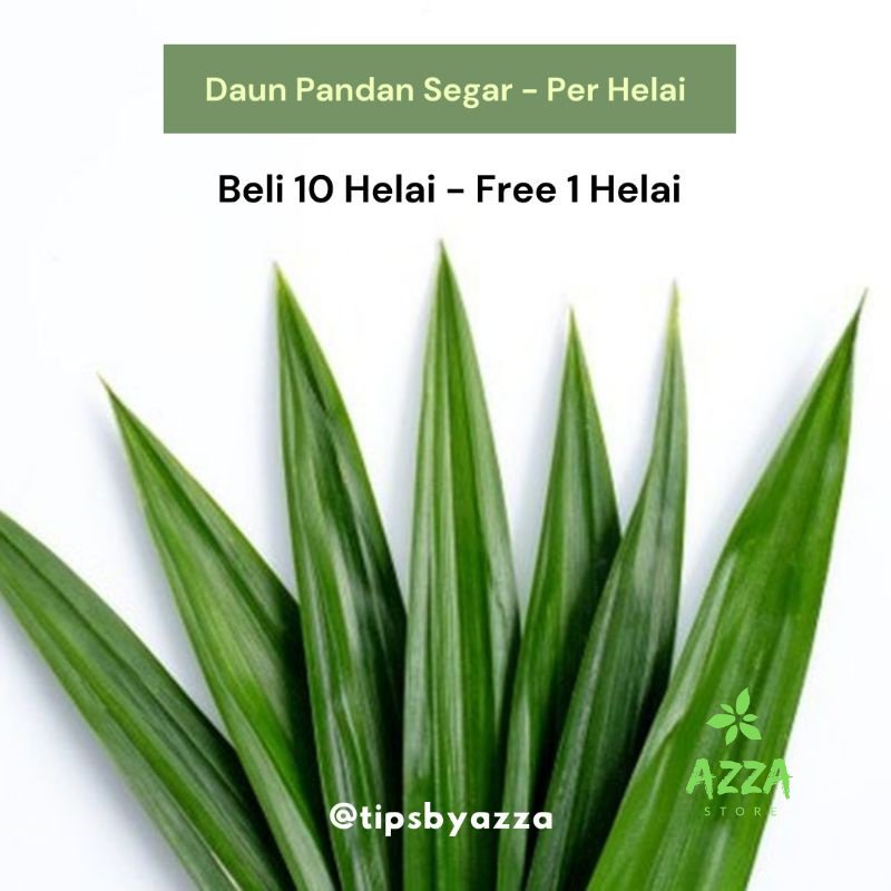 Jual Daun Pandan Segar / Daun Suji Segar / Pewarna Hijau Alami | Shopee ...