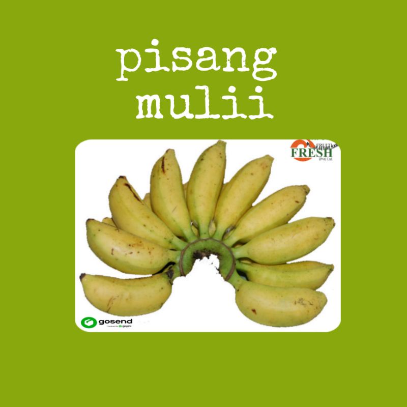 Jual PISANG MULI MURAH FRES BANDUNG | Shopee Indonesia