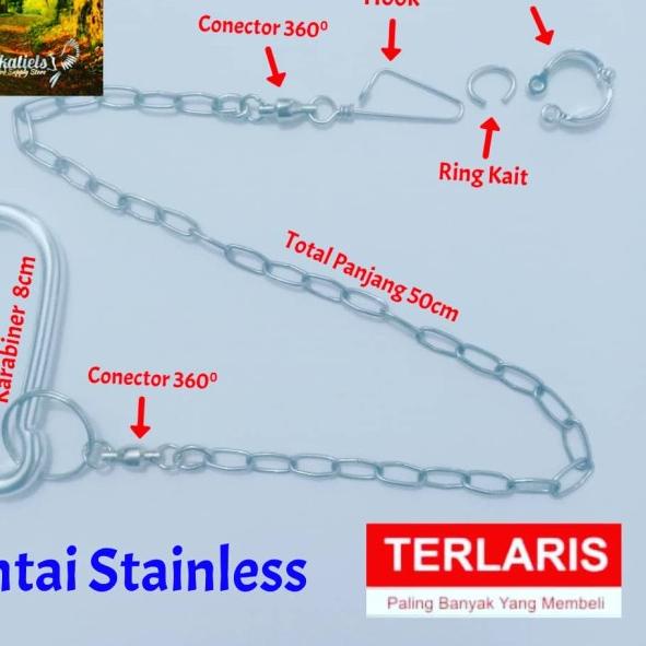 Jual Rantai Ring Borgol Burung Nuri Paltem Kepala Hitam Papua Black ...