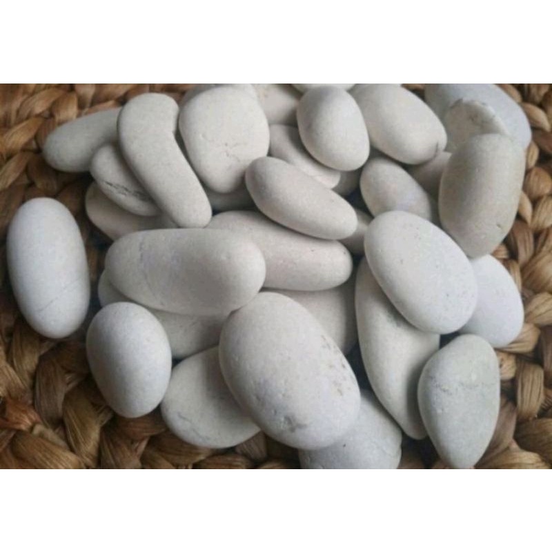 Jual batu koral/ batu Kupang repack 1 kg | Shopee Indonesia