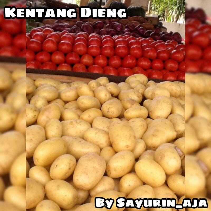 Jual Kentang Dieng 250gr | Shopee Indonesia