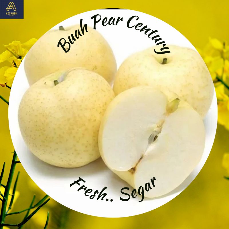 Jual BUAH PEAR CENTURY / BUAH PIR SEGAR | Shopee Indonesia