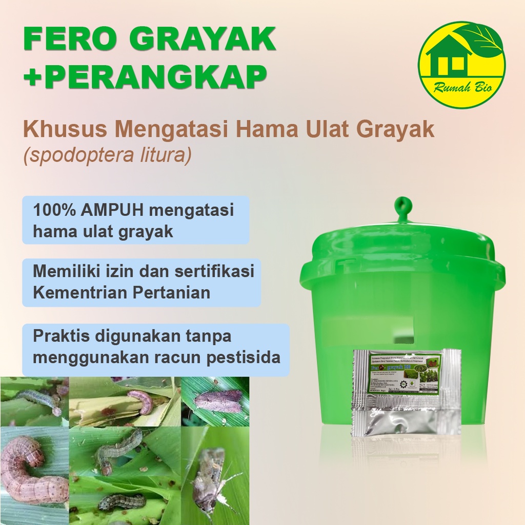 Jual Perangkap hama ulat grayak pemakan daun | Shopee Indonesia
