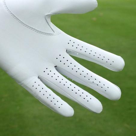 Jual sarung tangan golf gloves original kirkland signature - M | Shopee Indonesia