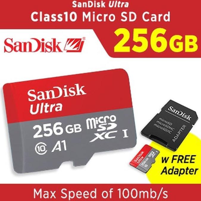 Jual Memory Micro SD 256GB Class 10 100mbps Sandisk Ultra A1 | Shopee ...
