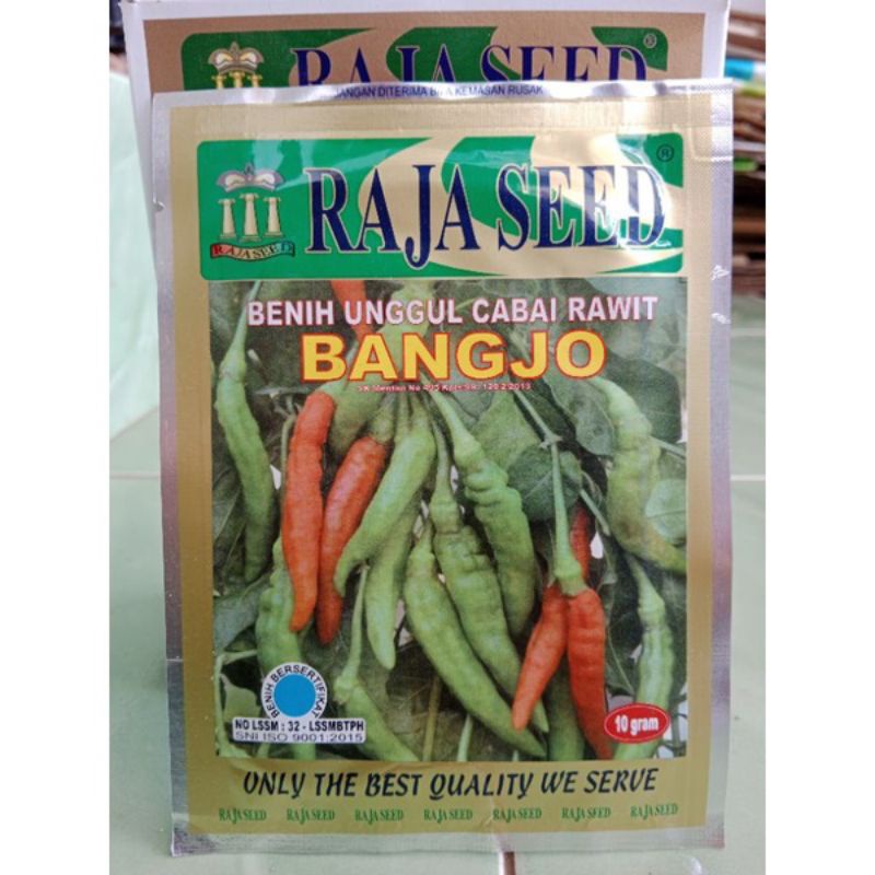 Jual Benih Cabe Rawit Bangjo 10 Gram @Cap Raja Seed | Shopee Indonesia