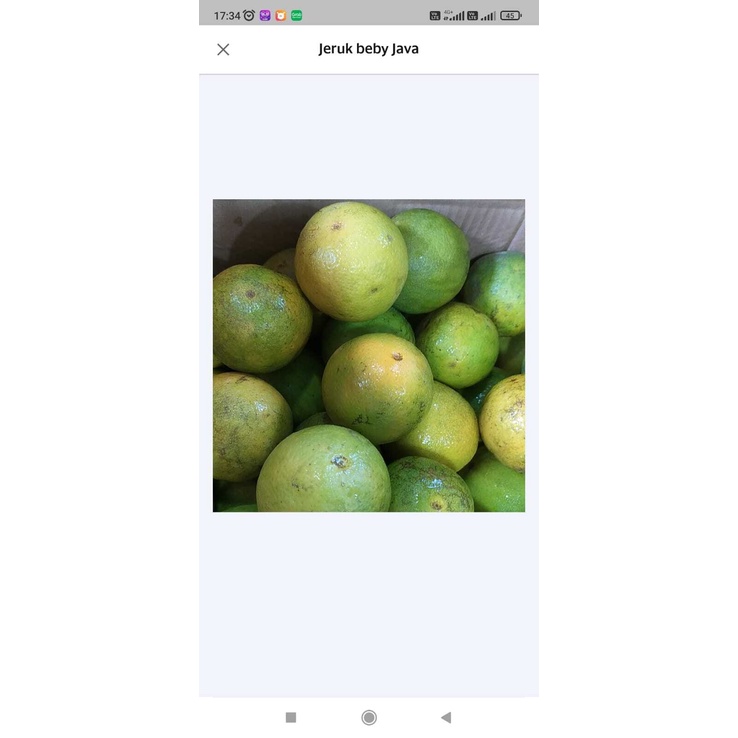 Jual Buah Jeruk Baby Java Manis 1kg | Shopee Indonesia
