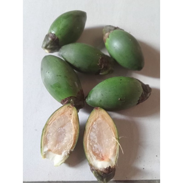 Jual Pinang muda/ Jambe muda harga satuan | Shopee Indonesia