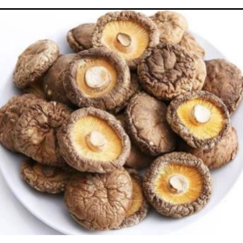 Jual Jamur Hioko besar kering 100 gram | Shopee Indonesia