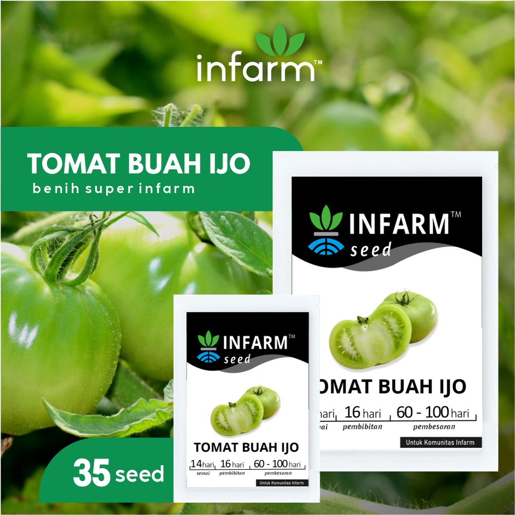 Jual INFARM - Benih Bibit Biji Super Tomat Buah Hijau | Shopee Indonesia
