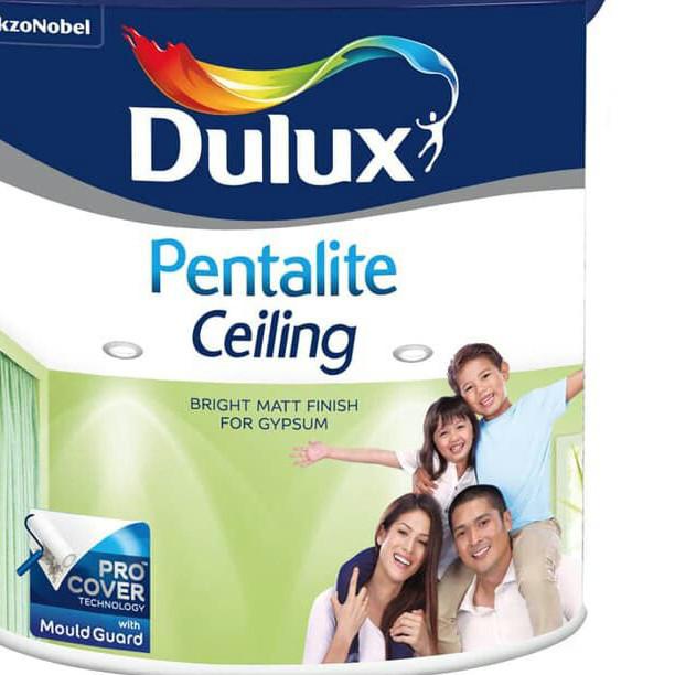 Jual CAT DULUX PENTALITE CEILING PUTIH(5 KG) / CAT GYPSUM | Shopee ...