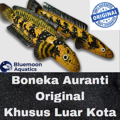 Jual PATUNG BONEKA UNTULAN CHANNA CHANA CANA | Shopee Indonesia
