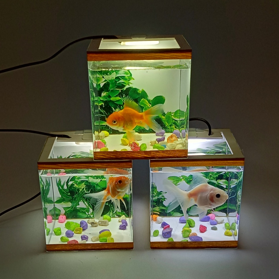 Jual AQUARIUM MINI IKAN HIAS CUPANG LAMPU LED USB / AKUARIUM MINI FULL ...
