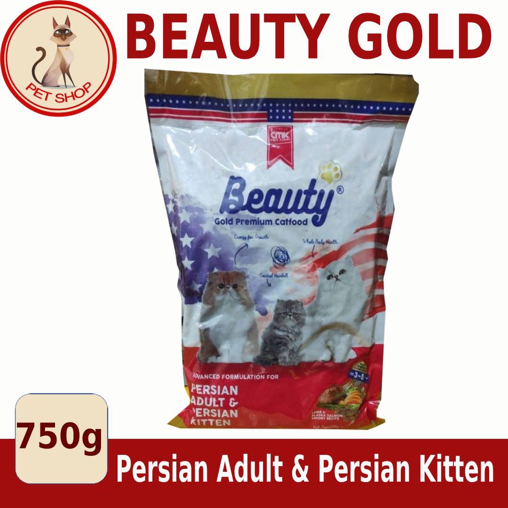 Jual Beauty Gold Persian Adult&Persian Kitten|Beauty Cat Gold Persian ...