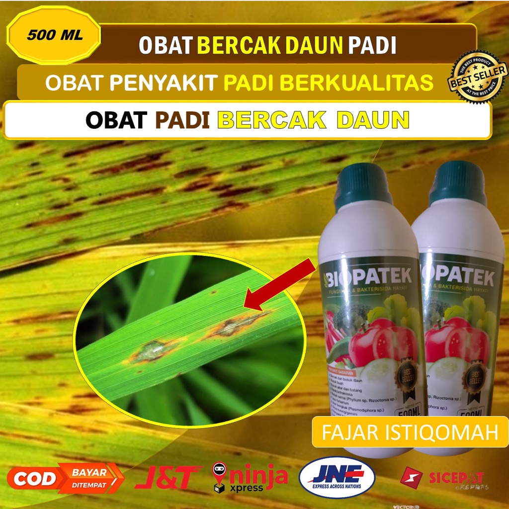 Jual PROMO BIOPATEK fungisida hayati obat bercak daun padi (500 ML ...