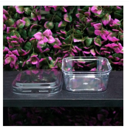 Jual Mika Puding Dessert Box Mini / Kecil+ tutup isi 50 CH 7575 ...