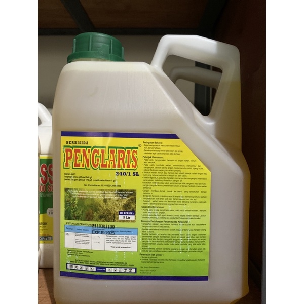 Jual Herbisida Sistemik (sejenis Roundup) PENGLARIS 240/1 SL 5 liter ...