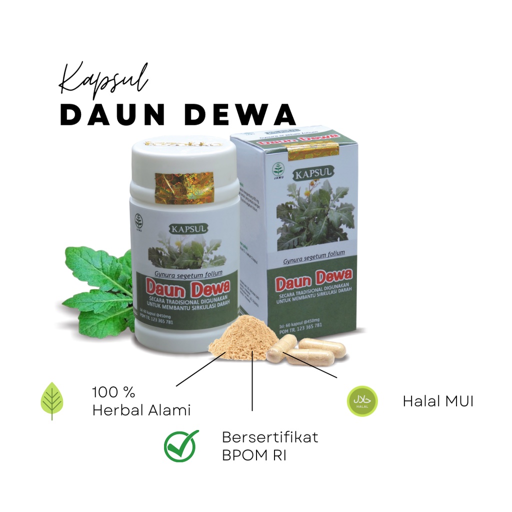 Jual Kapsul Daun Dewa Terapi Stroke Tazakka Original Halal BPOM Isi 60 ...