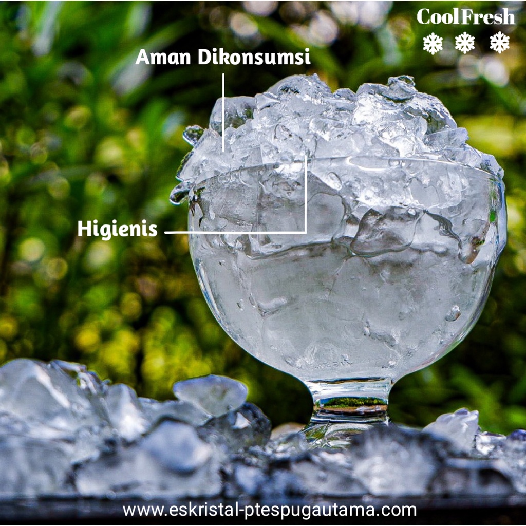 Jual CoolFresh Es Batu Kristal/Serut 10KG BPOM RI | Shopee Indonesia