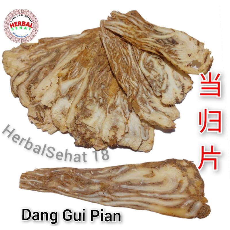 Jual Quan Dang Gui Pian 50-100g - Tang Kui Pian - Tang Kwei Tangkui ...