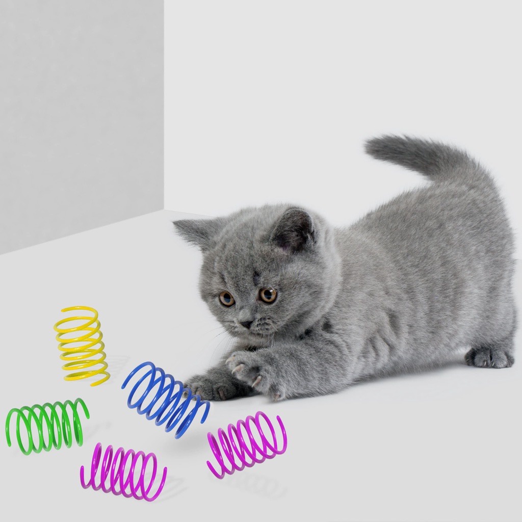 Jual SPIRAL SPRINGS RAINBOW - Mainan Aksesoris Hewan Kucing Anjing Per ...