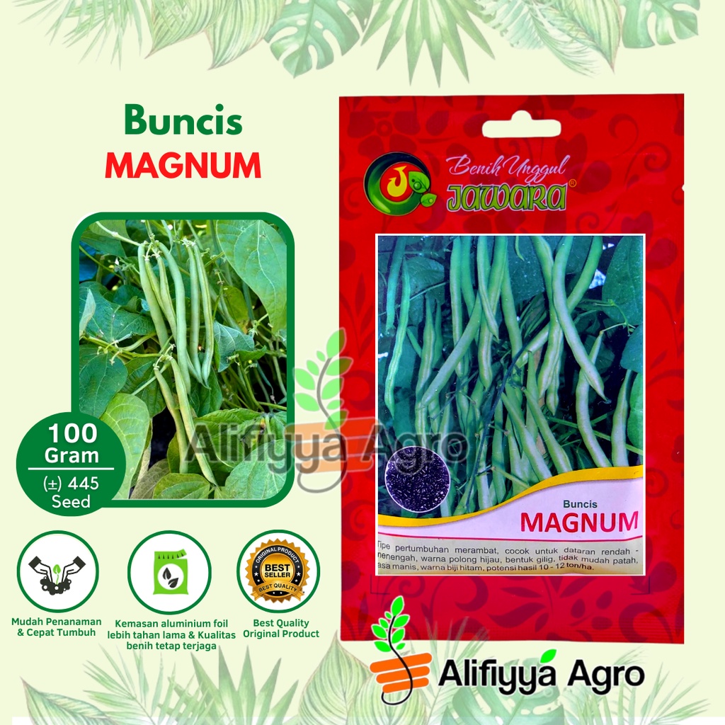 Jual BENIH BUNCIS SAYUR MAGNUM ( biji hitam ) isi 100 GRAM (+/- 445 ...