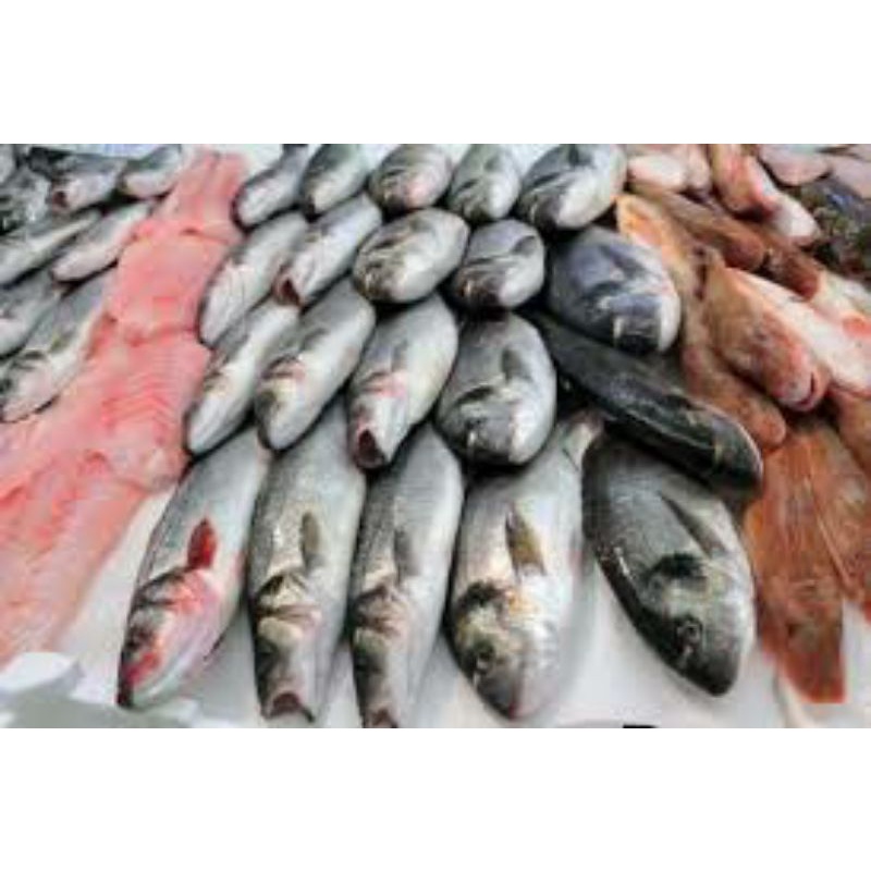 Jual Ikan Basah Mentah Kembung Layang Selar Bandeng Mujaer Udang Bawal ...