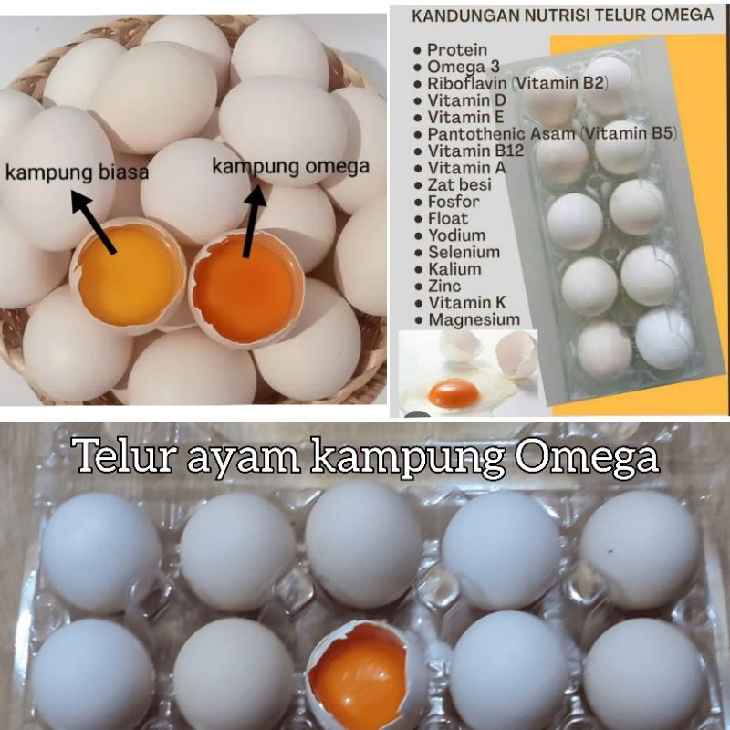 Jual telur ayam kampung TEMBEAN OMEGA dan Biasa harga utk 10 butir ...