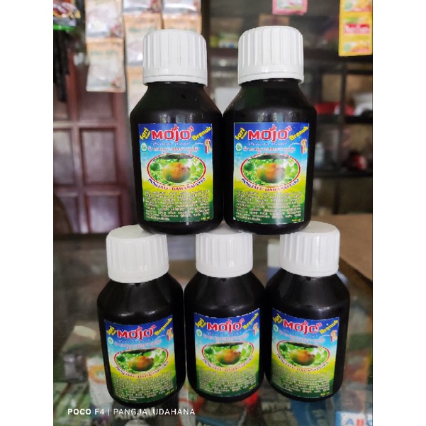 Jual Sari Buah MOJO Brenuk (crescentia cujete) | Shopee Indonesia