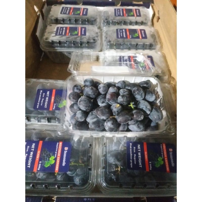 Jual Buah Anggur Autumn pack 500g | Shopee Indonesia