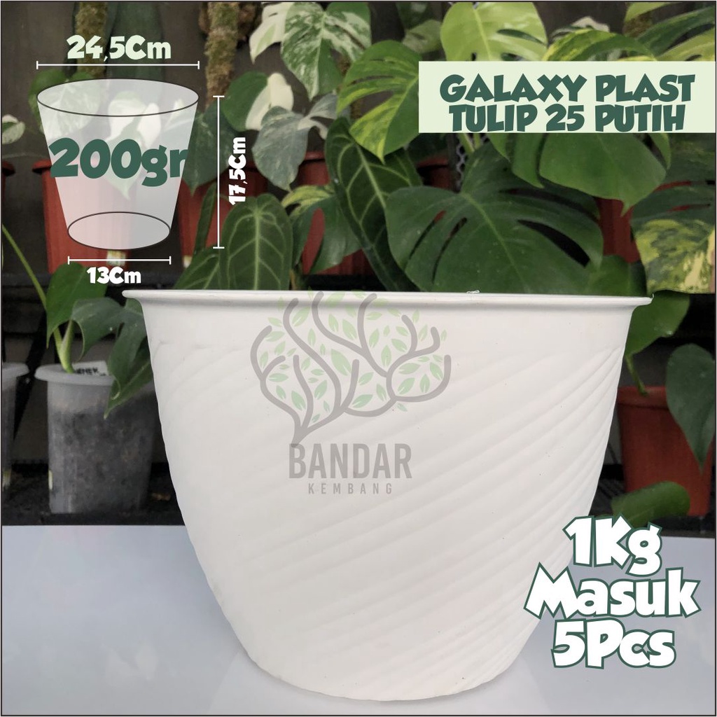 Jual Pot Bunga Putih Galaxy Plast Tulip Ukuran 25 Pot Model Tawon Honey ...