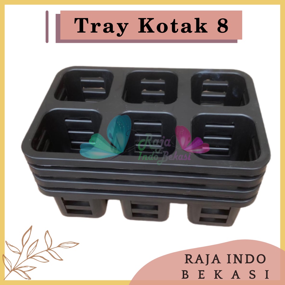 Jual Tray Pot Kotak 8 cm Warna Hitam Tray Semai Bibit TRYPOT KOTAK 8 cm ...
