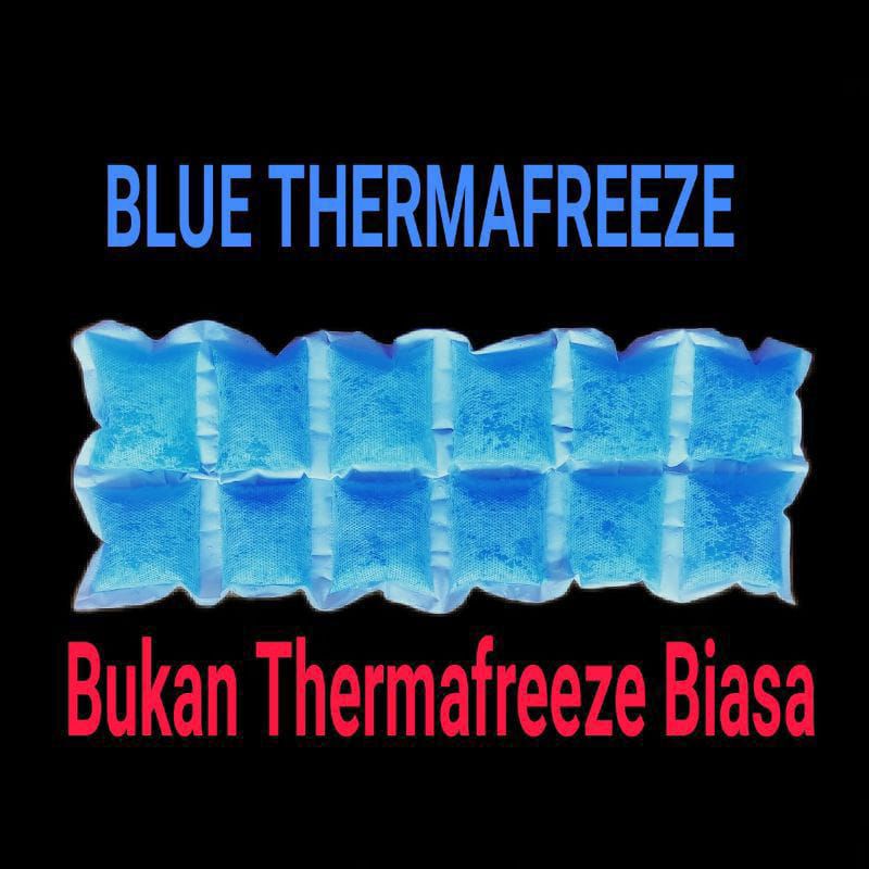 Jual blue ice pack gel Merk - Thermafreeze | Shopee Indonesia