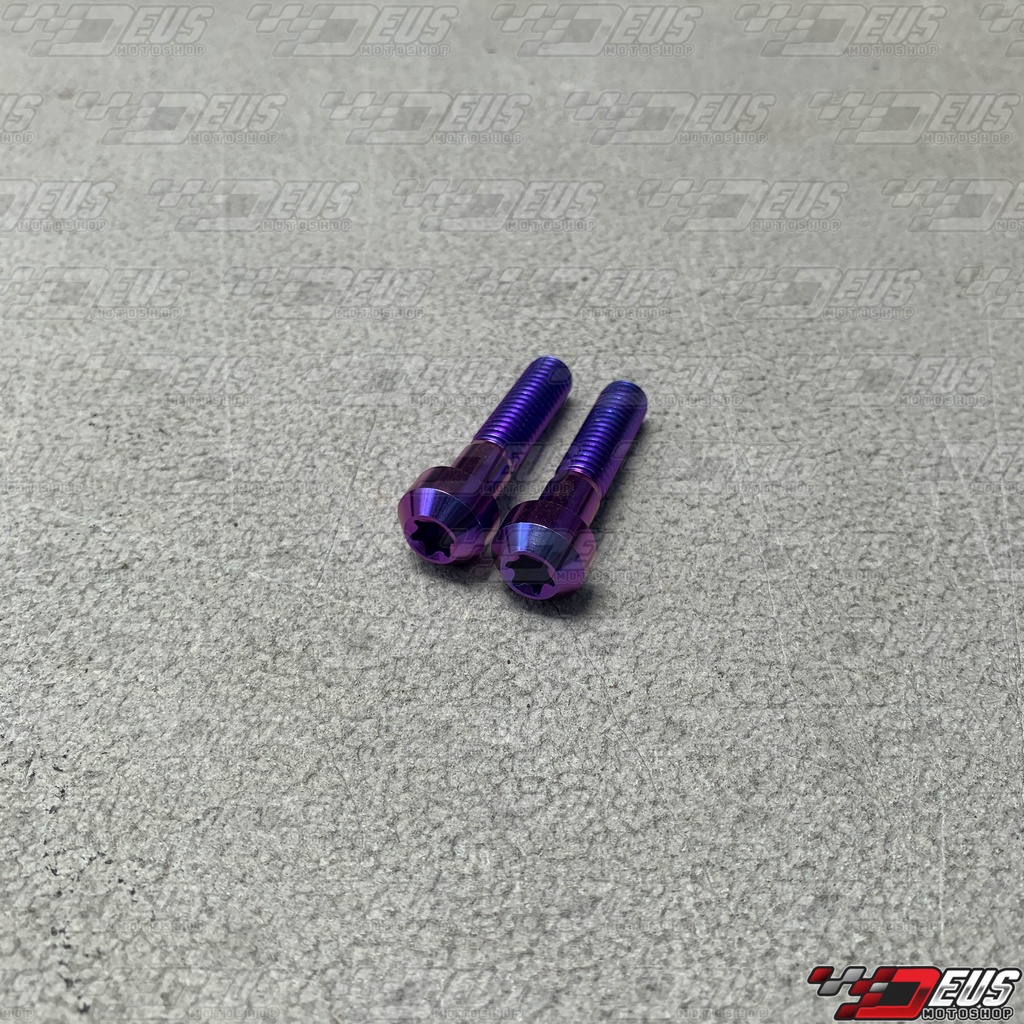 Jual Baut Titanium Jalu Stang Ninja R SS RR / Bar End KR KRR 150 ...