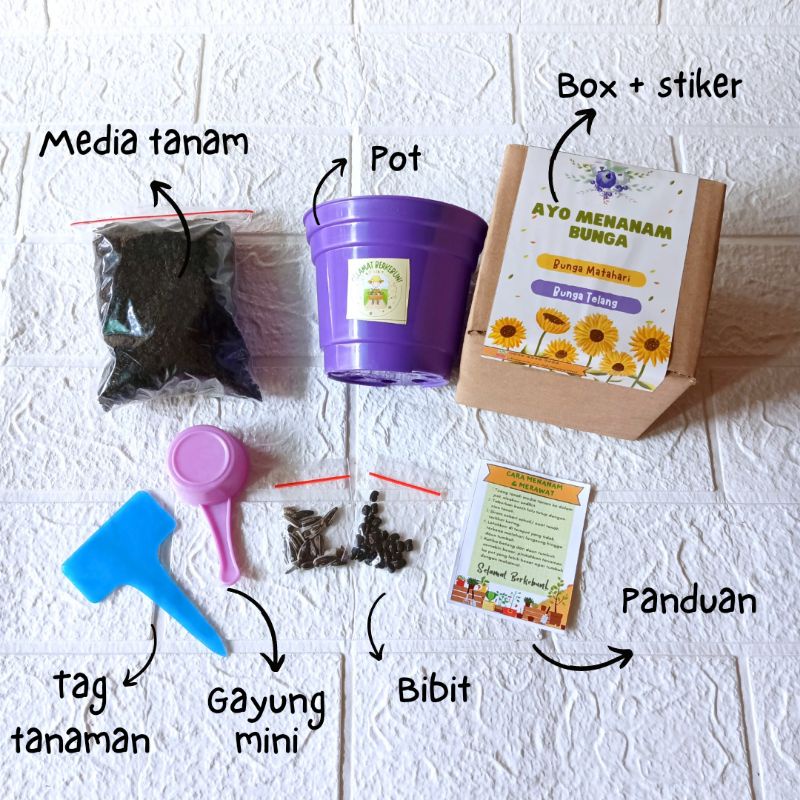 Jual Berkebun Bunga Sayur DIY Planting Grow Kit Mainan Edukasi | Shopee ...