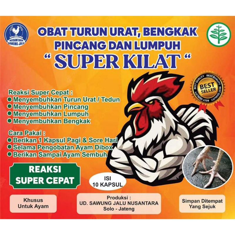 Jual SUPER KILAT OBAT TURUN URAT BENGKAK PINCANG LUMPUH TEDUN PADA AYAM HERBAL 10 KAPSUL REAKSI ...