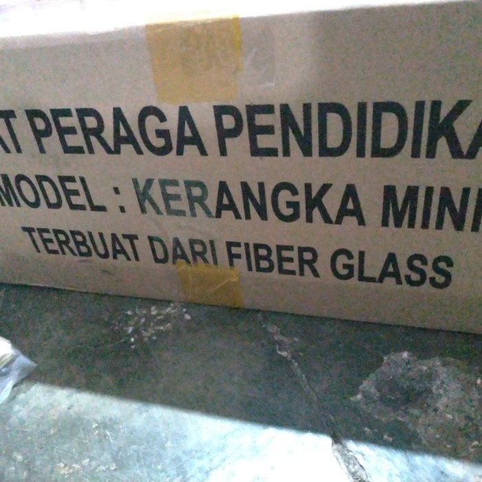 Jual Model Kerangka Mini, Kerangka Manusia Model Anak - Anak | Shopee ... Jual Model Kerangka Mini, Kerangka Manusia Model Anak - Anak | Shopee ...