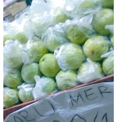 Jual JAMBU BIJI MERAH(1KG) | Shopee Indonesia