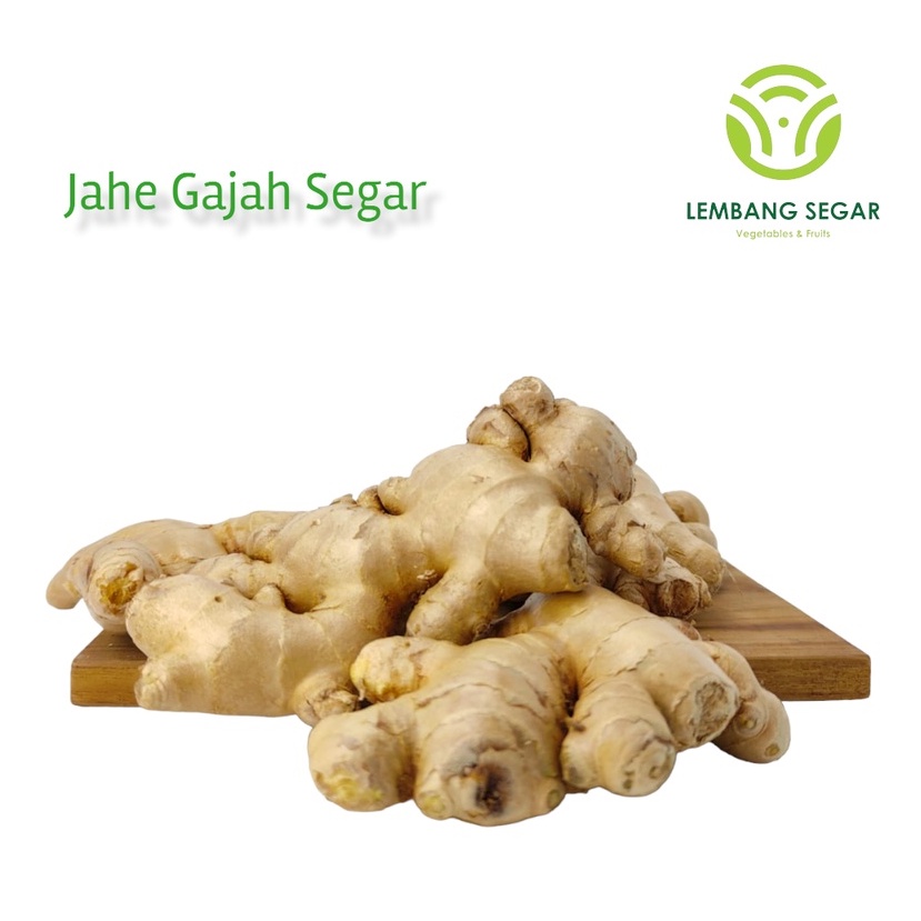 Jual Jahe Gajah Putih Fresh Segar Bersih 100 gram (Beli Banyak Lebih ...