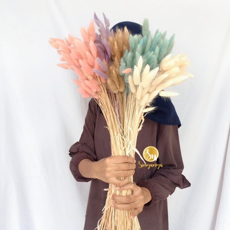 Jual BUNGA BUNNY TAIL ILALANG WARNA KERING | DRIED FLOWER RUSTIC ...
