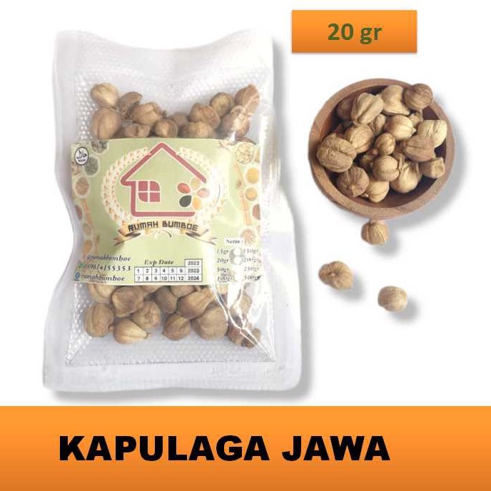 Jual (20 gr) KAPULAGA JAWA Kering Kapulaga Putih Kapulaga Biasa Rempah ...