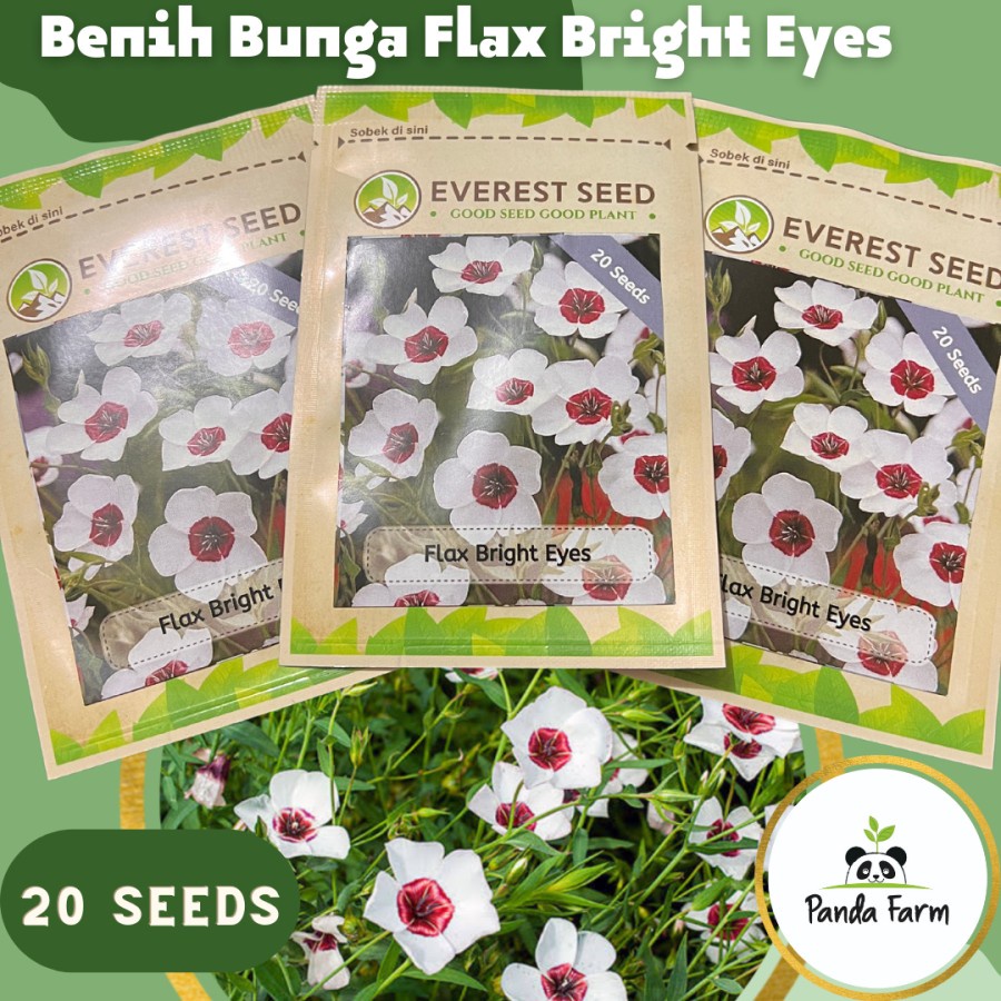 Jual Benih Bunga Flax Bright Eyes Everest Seed | Shopee Indonesia