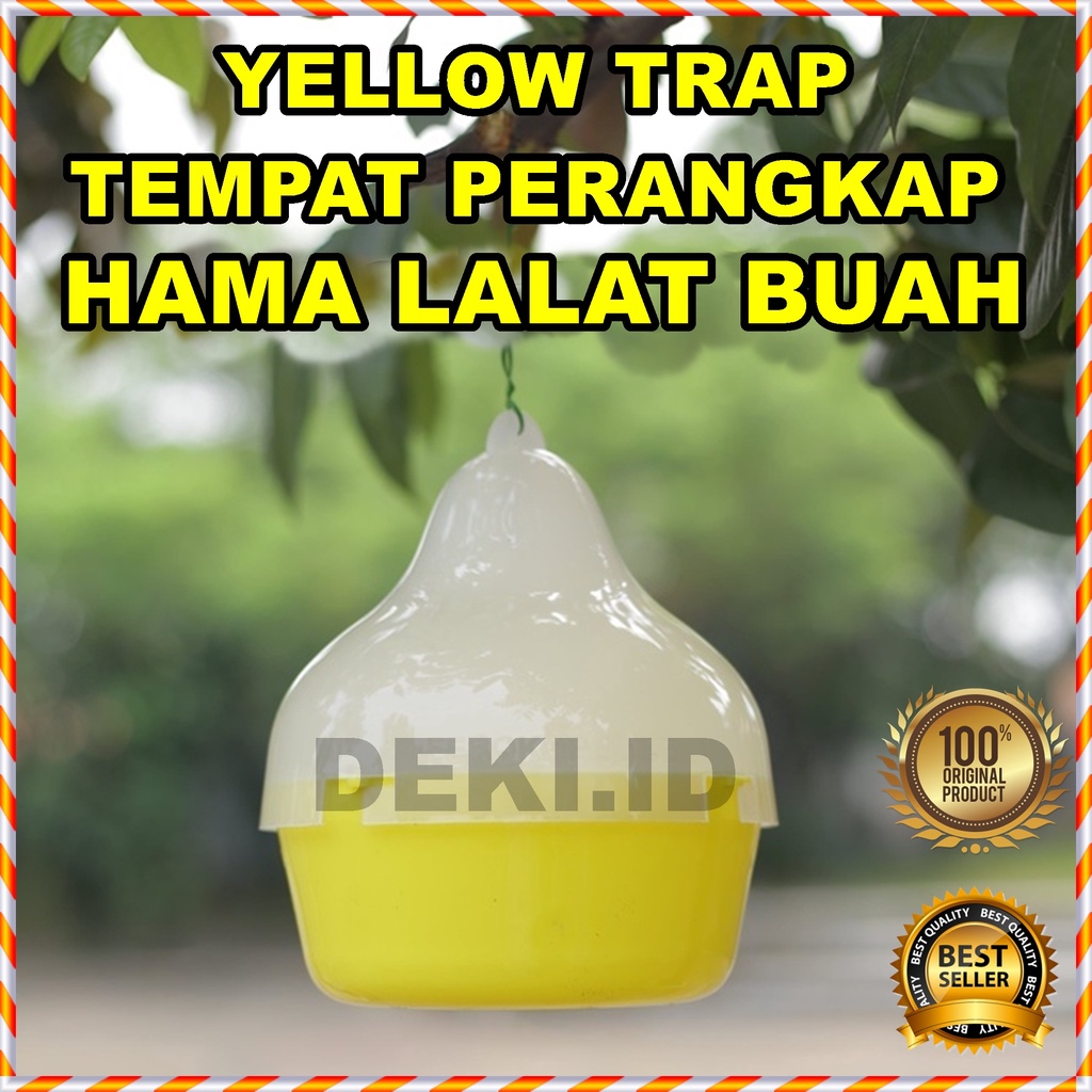 Jual Terakop Tempat Perangkap Hama Lalat Buah Tanaman Ferokop ...