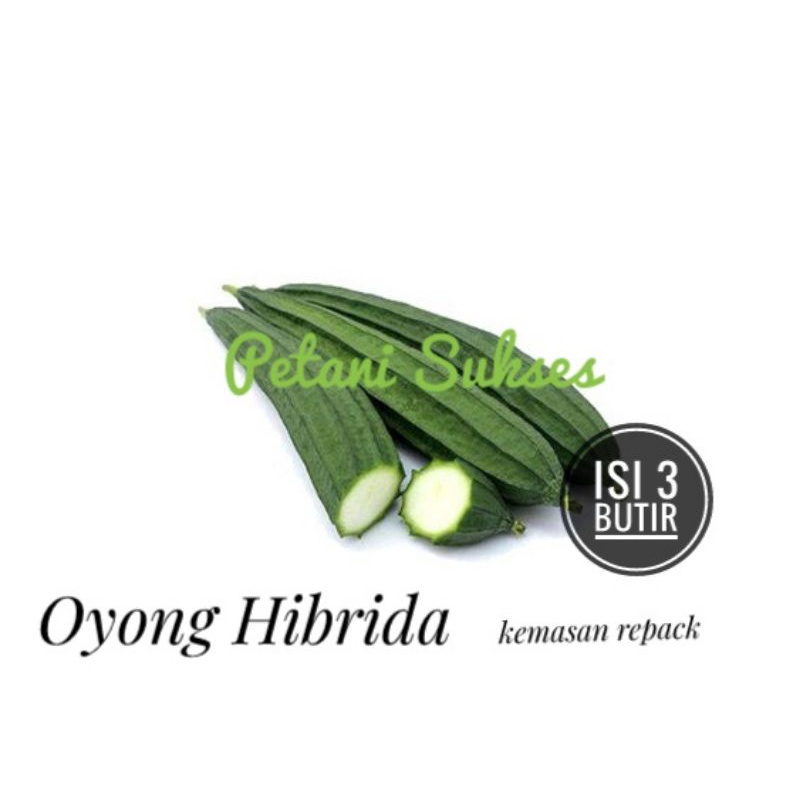 Jual (REPACK 3 butir) Bibit Benih sayuran OYONG/ GAMBAS Hibrida kemasan ...