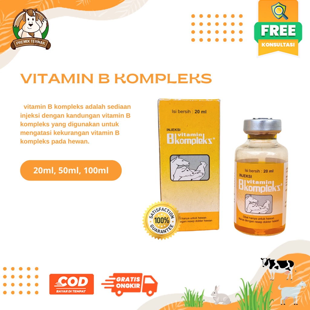Jual INJEKVIT B PLEX B KOMPLEKS 20 ml - Tingkatkan Produktifitas dan ...