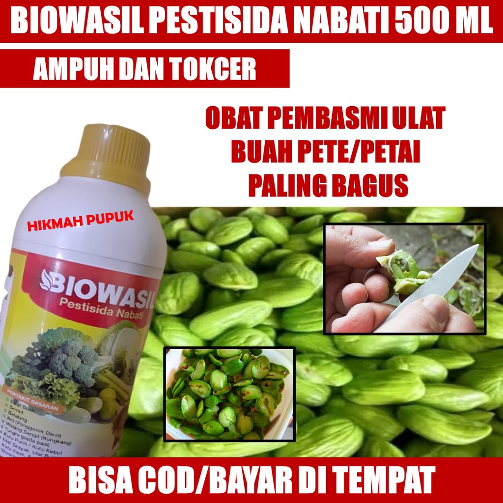 Jual BIOWASIL isi 500 ML - OBAT HAMA ULAT TANAMAN PETAI/PETE Paling ...