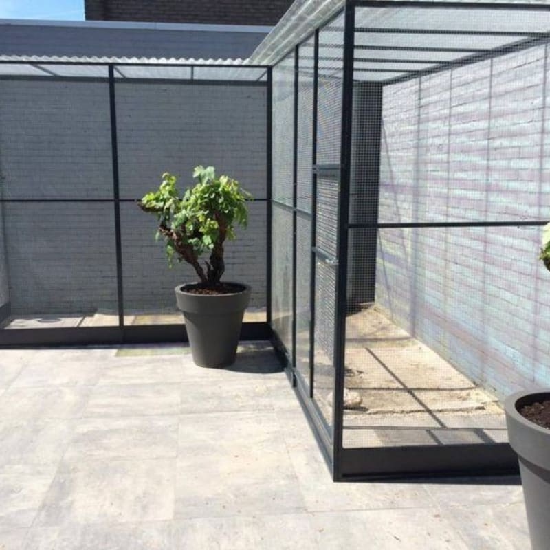 Jual Preorder Aviary Custom Kandang Burung Ayam Besi | Shopee Indonesia