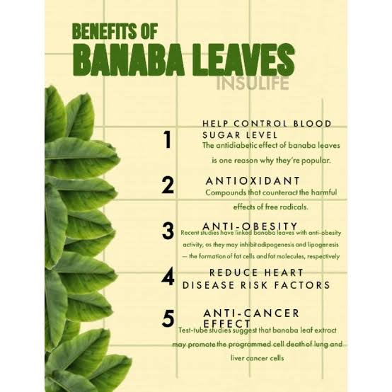 Jual ELIF TEA AND TISANE Banaba Leaf Tea Diabetes Kolesterol Darah ...