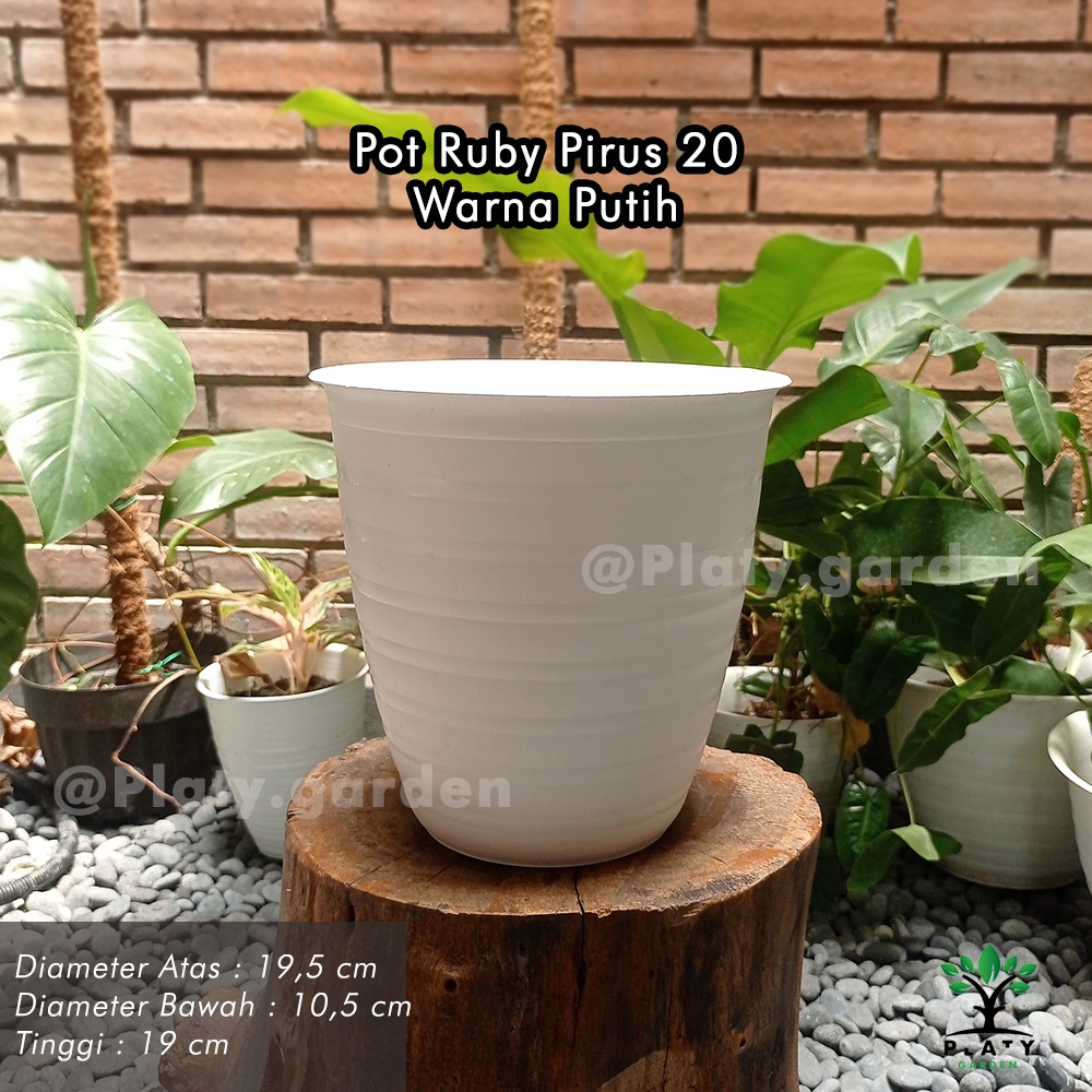 Jual Pot Ruby Pirus Tinggi 20 | Pot Model Tawon | Pot Putih Tinggi ...
