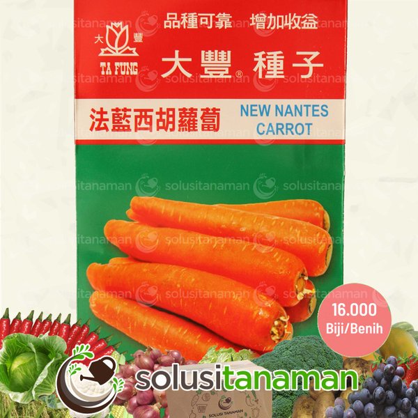 Jual Benih Wortel " New Nantes Carrot " @20gr - Biji Benih Sayuran ...